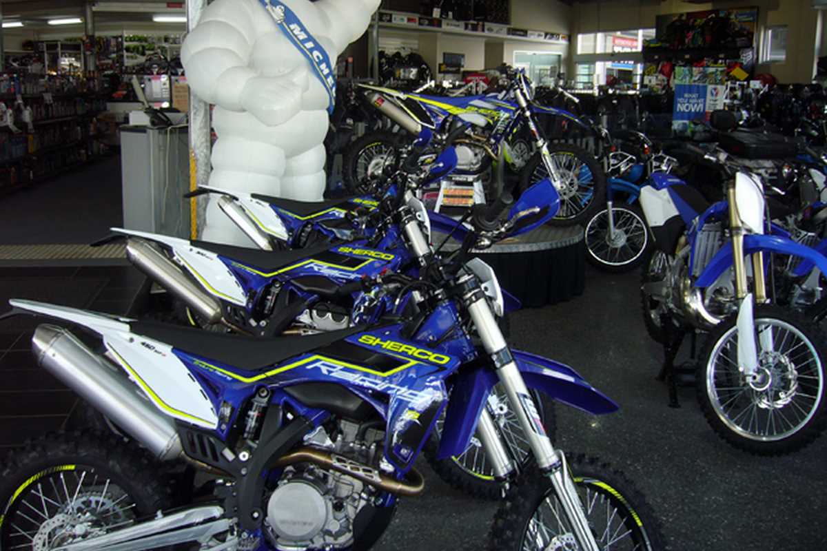 DEALER PROFILE